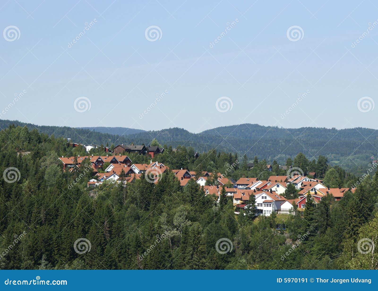 Norwegian suburb stock image. Image of nature, wood, pine - 5970191