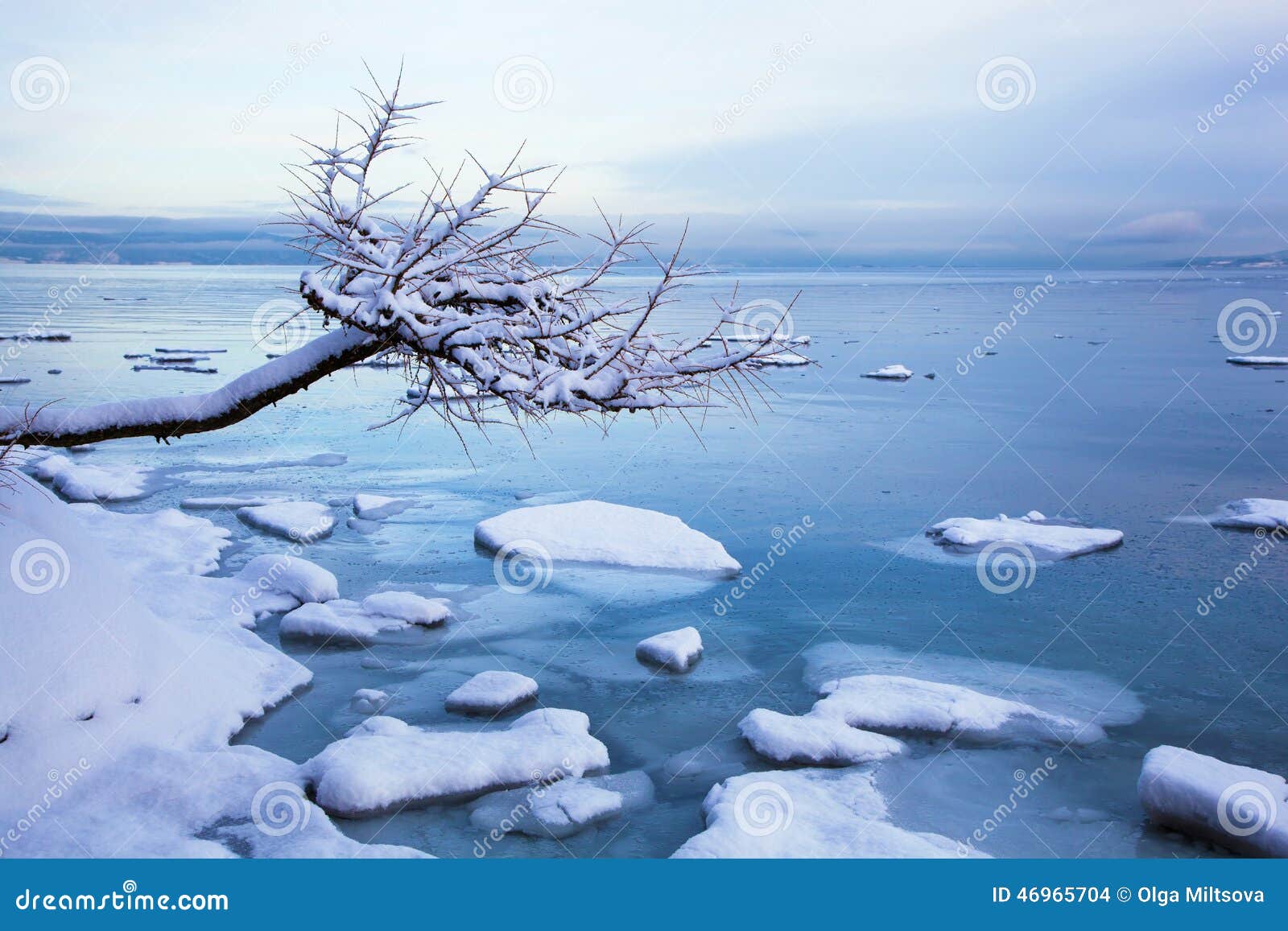 Norwegian Winter Fjord Landscape with Tree and Ice Stock Photo - Image ...