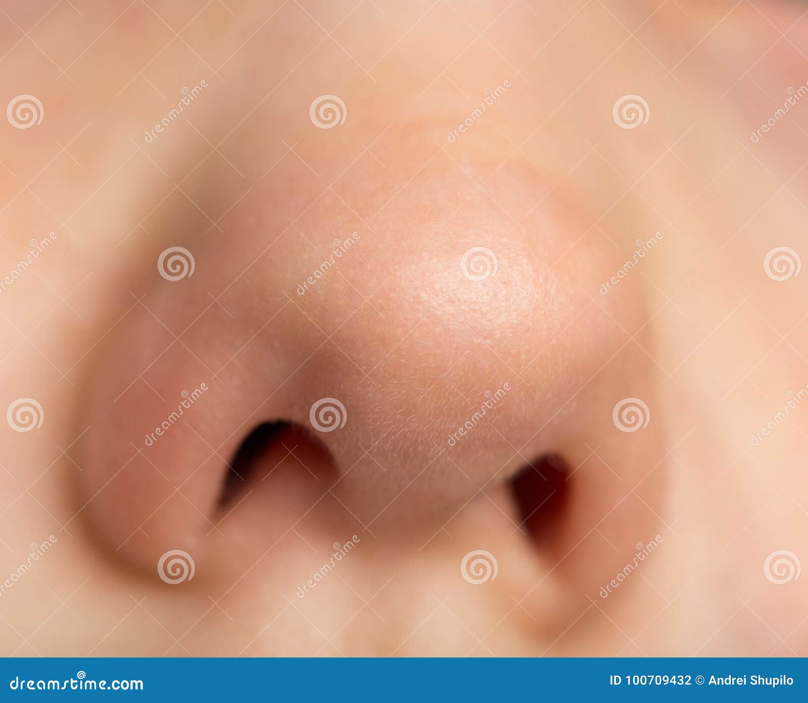 Nose boy. macro stock photo. Image of face, desire, confident - 100709432