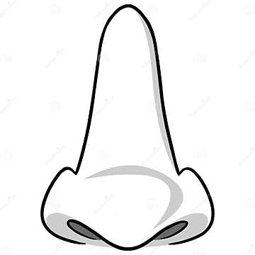 Nose Front View Illustration Stock Vector - Illustration of nose, human ...
