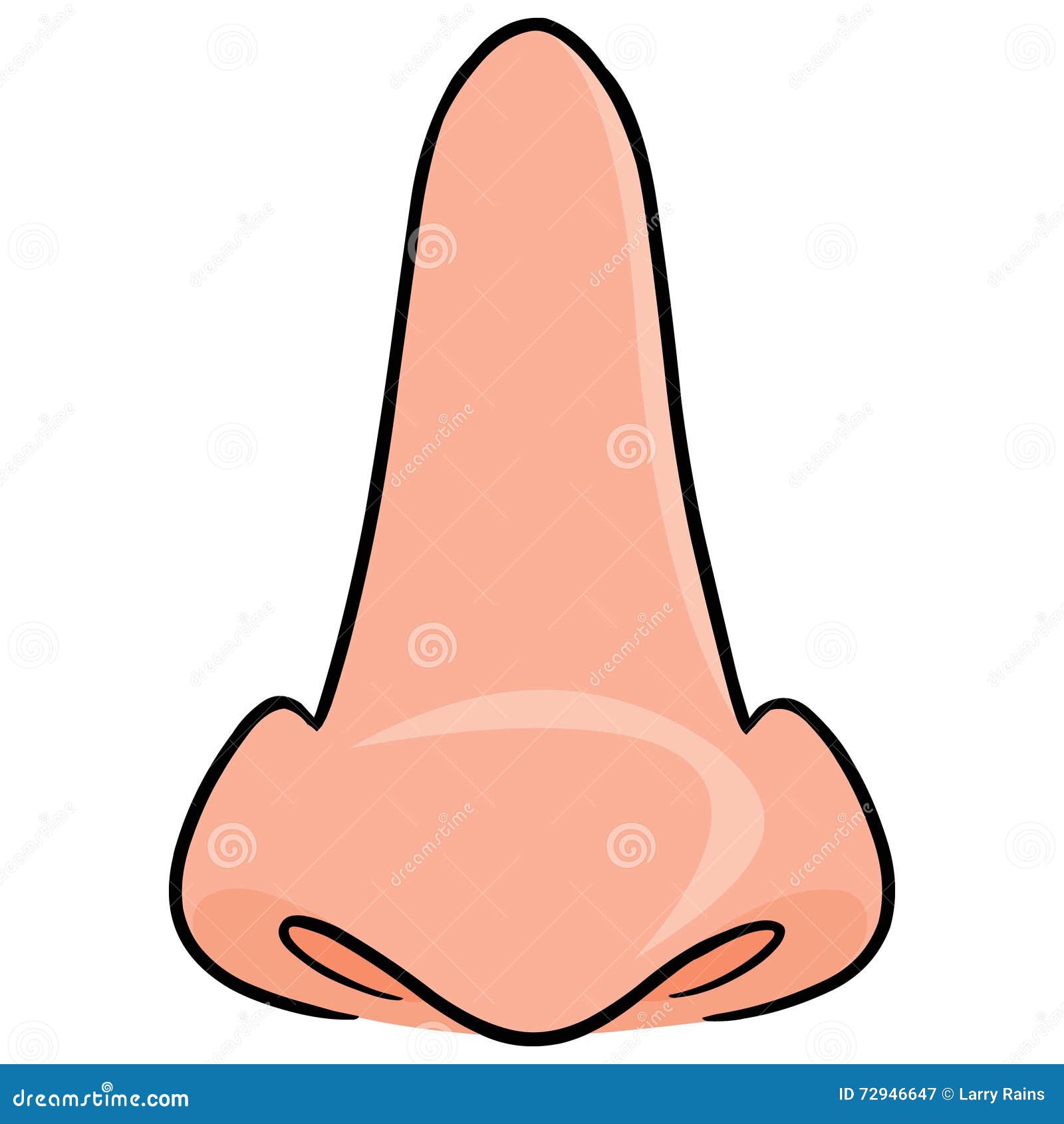 Nose Front View stock vector. Illustration of illustrations - 72946647