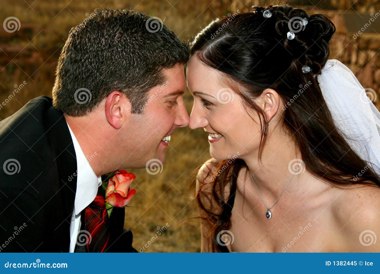Nose Kisses stock image. Image of hair, arms, pair, outside - 1382445
