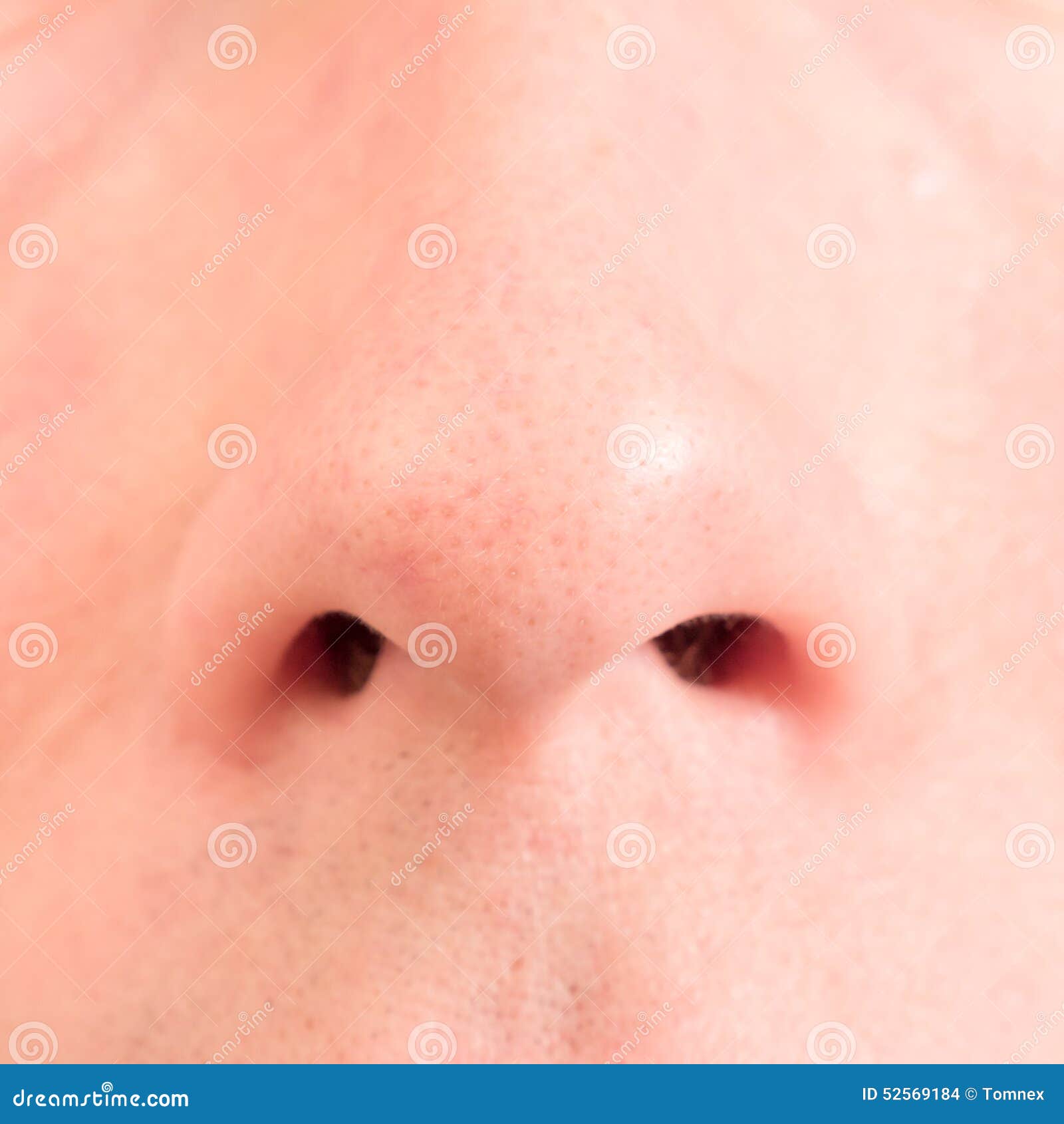 Nose stock photo. Image of person, skin, copyspace, copy - 52569184