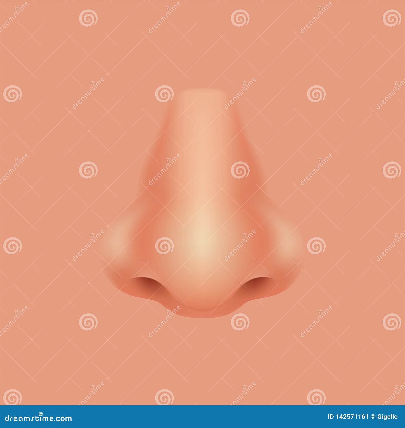 Nose stock vector. Illustration of nose, symbol, nostril - 142571161