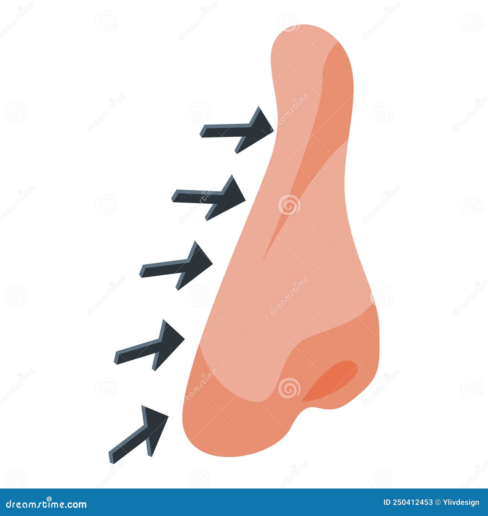 Nose Rhinoplasty Icon Isometric Vector. Surgery Side Stock Vector ...