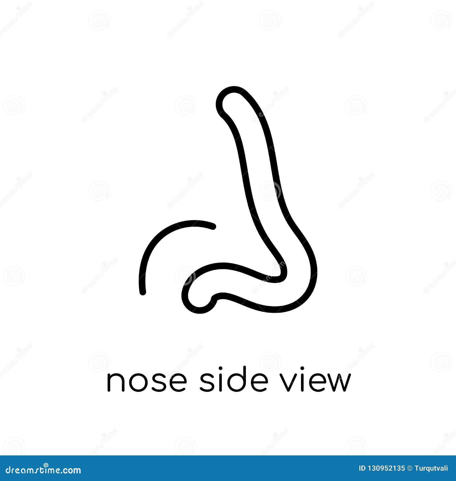 Nose Side View Icon. Trendy Modern Flat Linear Vector Nose Side Stock ...