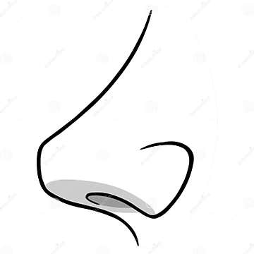 Nose Side View Illustration Stock Vector - Illustration of cold, nose ...