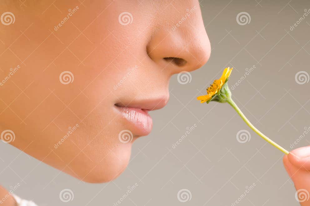 Nose smell stock image. Image of breathe, skin, human - 14048449