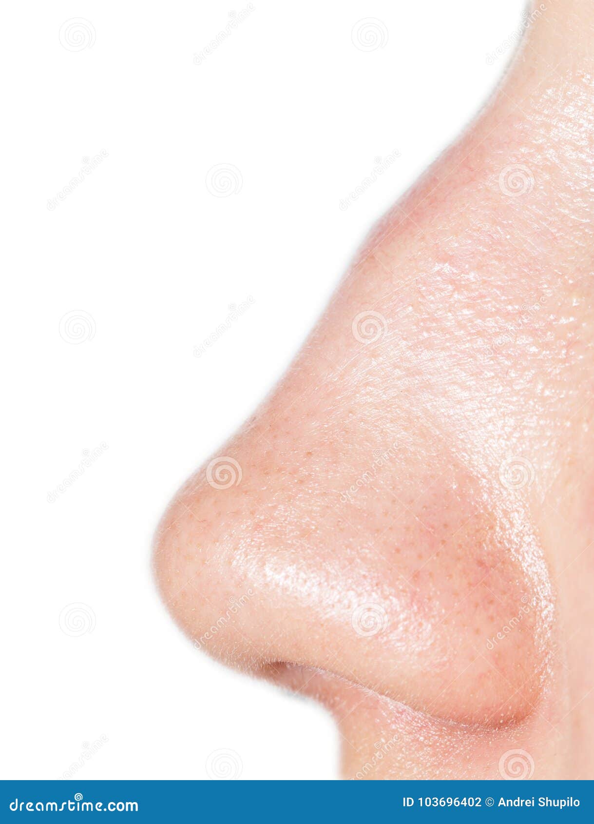 Nose on a white background stock photo. Image of macro - 103696402