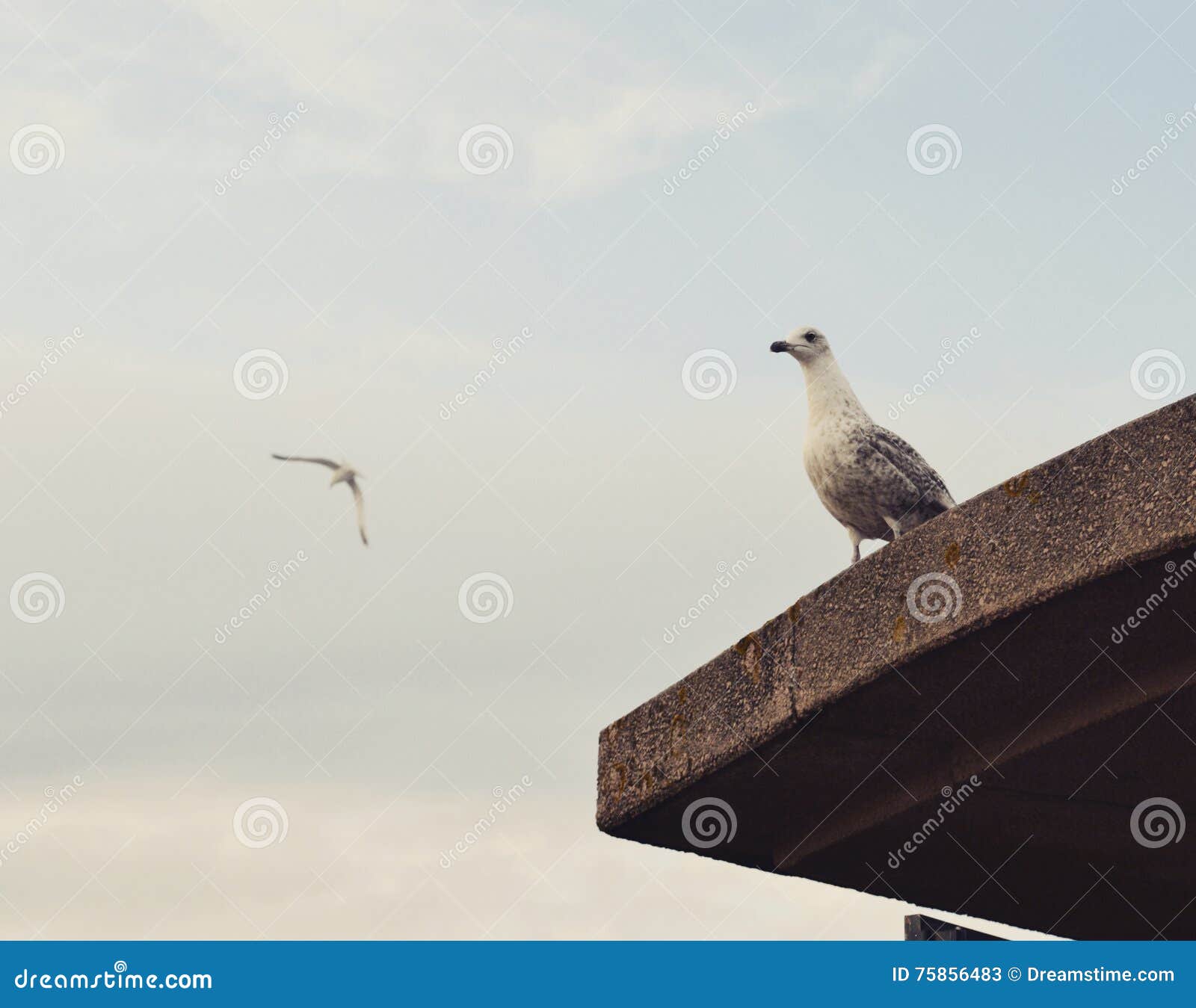 Perfect Momento Photos - Free & Royalty-Free Stock Photos from Dreamstime