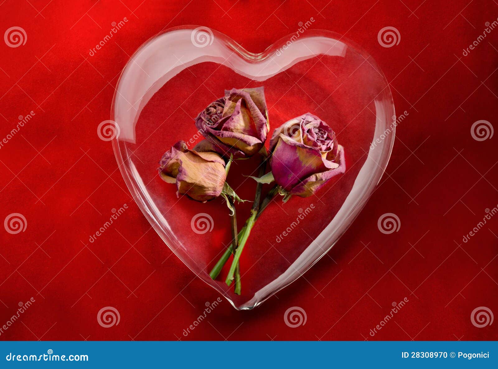 Nostalgic love stock photo. Image of memories, friendship - 28308970