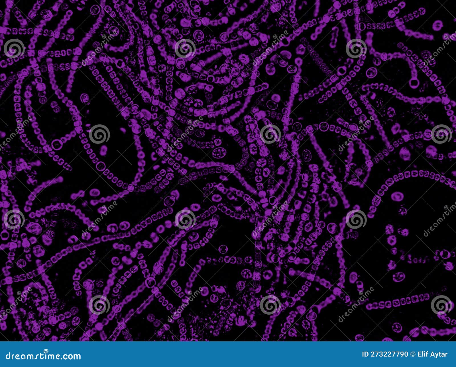 Probiotics, Lactic Acid Bacteria. Bacteria and Microorganisms Stock ...