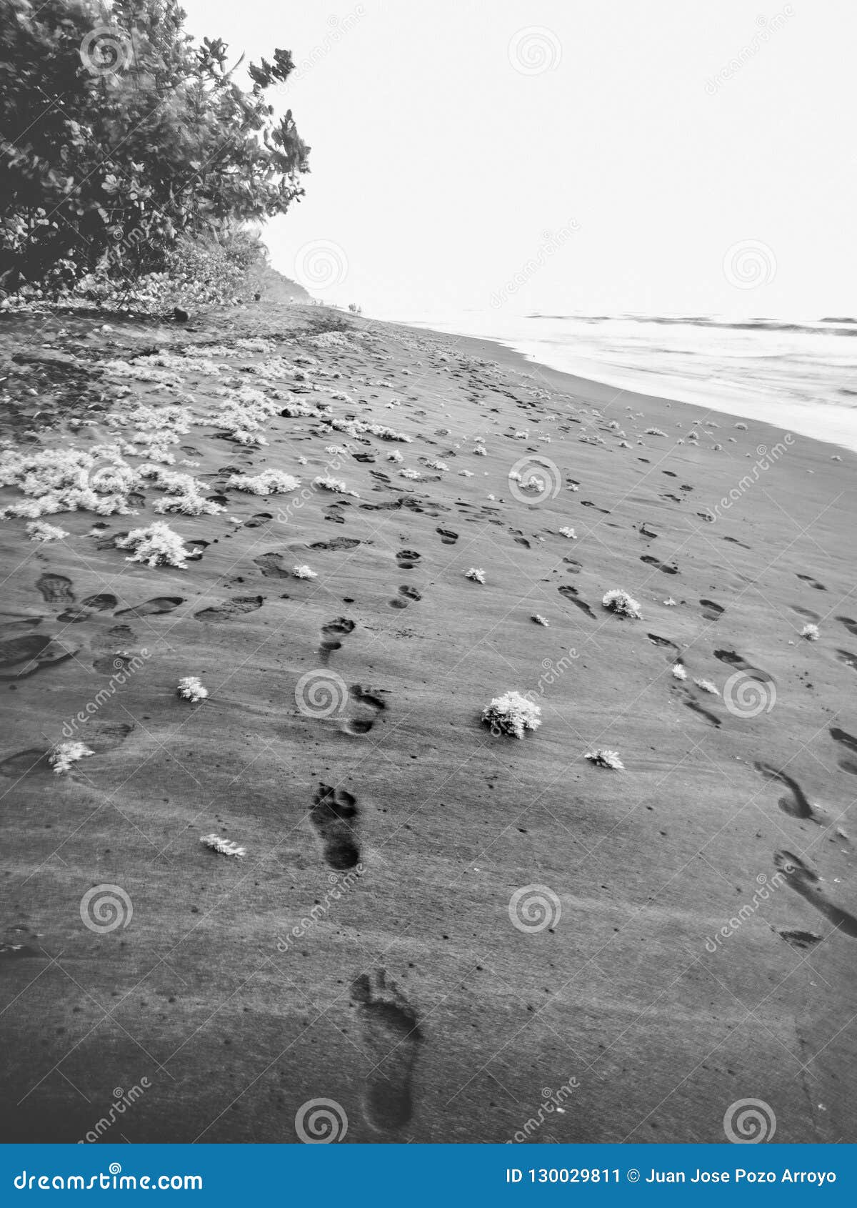 Not on the beach, stock image. Image of black, water - 130029811