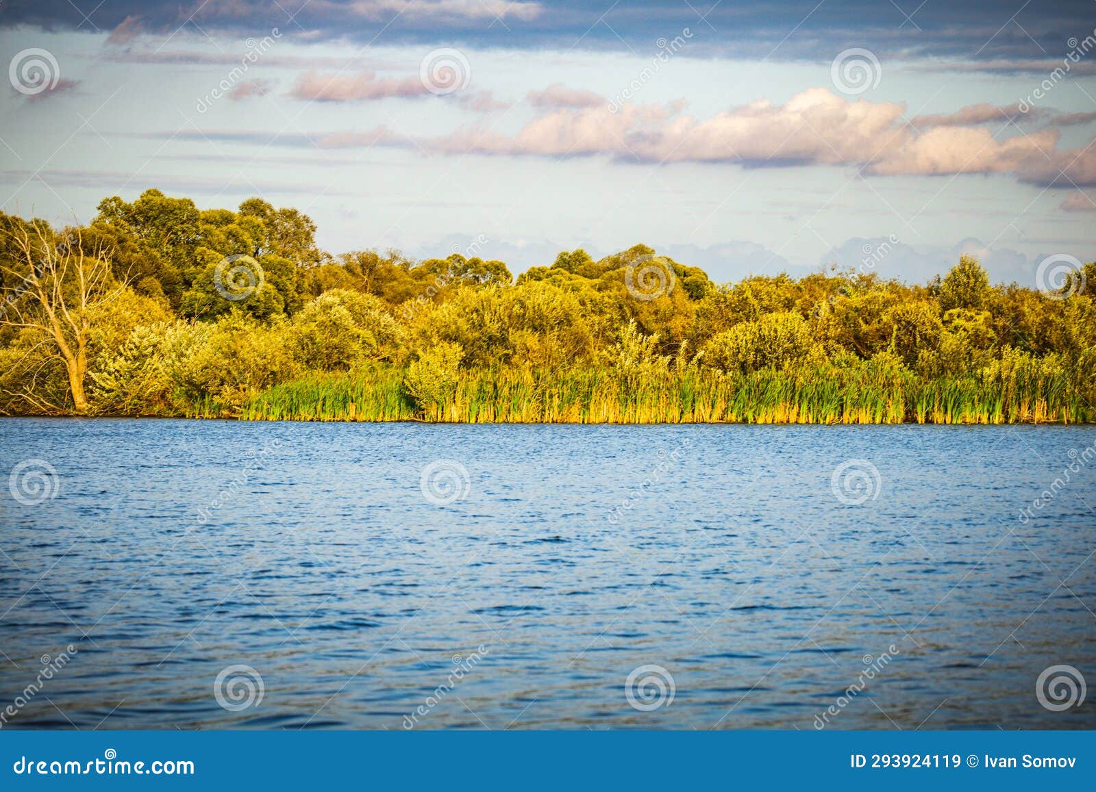 Not calm water on the lake stock image. Image of countryside - 293924119