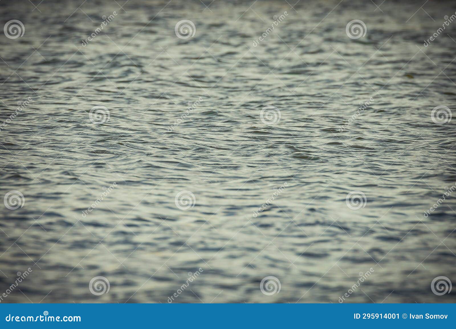 Not calm water on the lake stock image. Image of countryside - 295914001