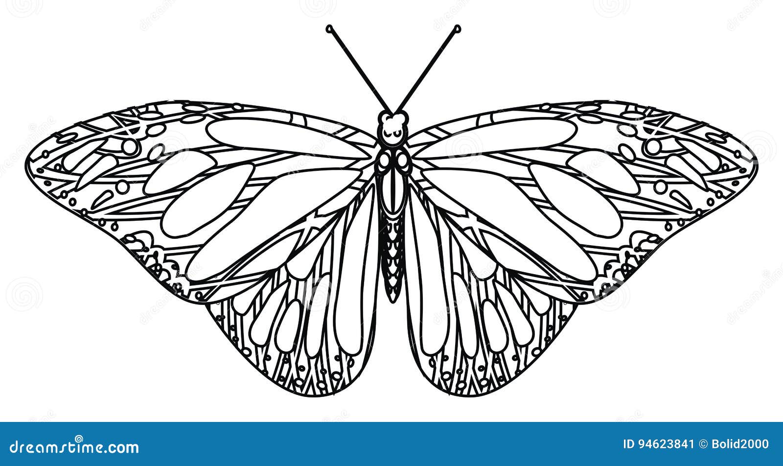 Not colored butterfly stock illustration. Illustration of paint - 94623841