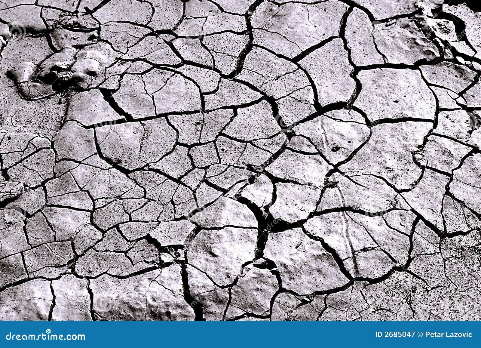 Not enough water stock image. Image of harsh, conditions - 2685047