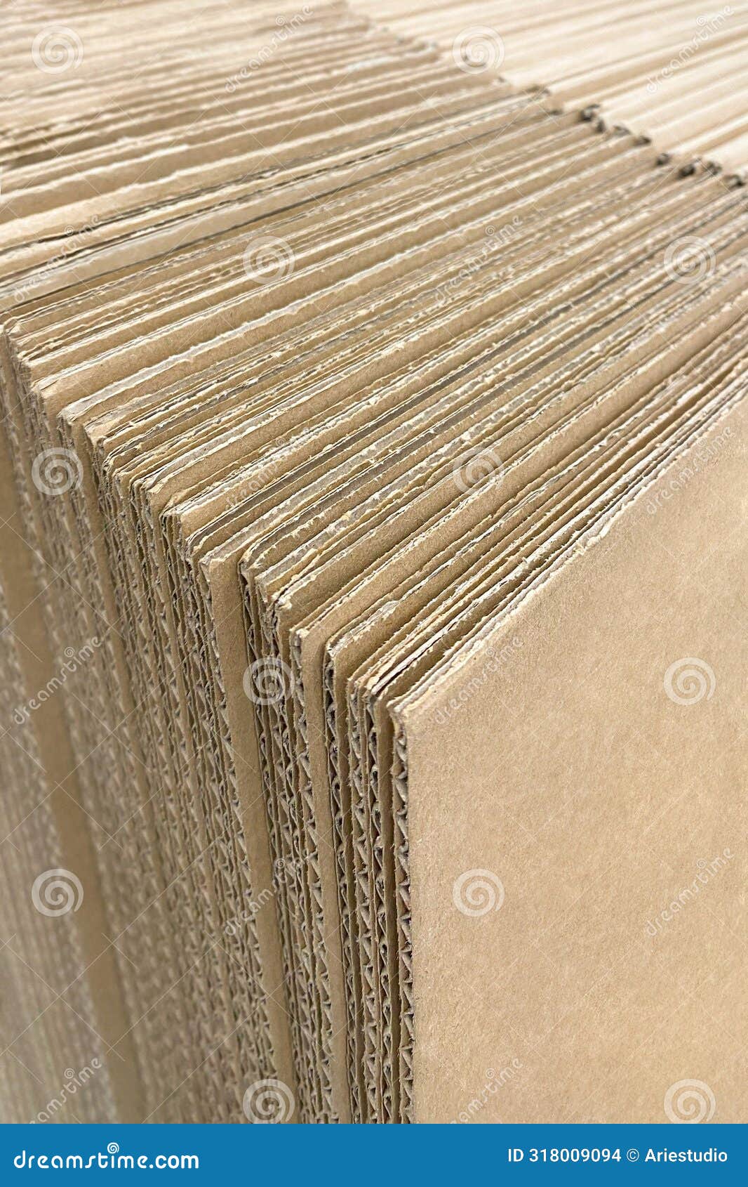 Not Folded Boxes, Packaging Corrugated Cardboard Boxes, Represent a ...