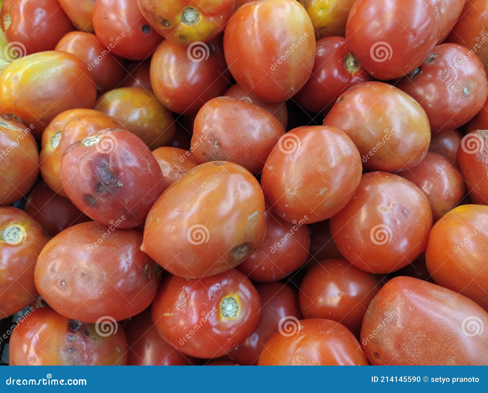 Not really Good Quality Tomatoes in Supermarket Stock Photo - Image of ...