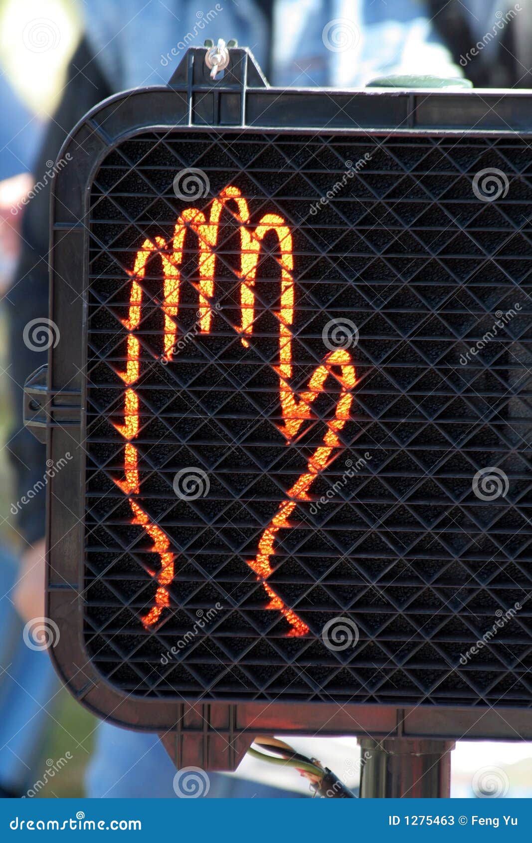 Walk This Way Sign Writing On Wooden Label Sign Placing On The Lawn In ...