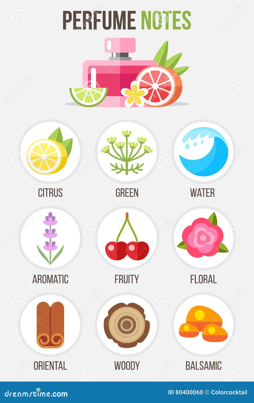 Notas do perfume ilustração do vetor. Ilustração de beleza - 80400060