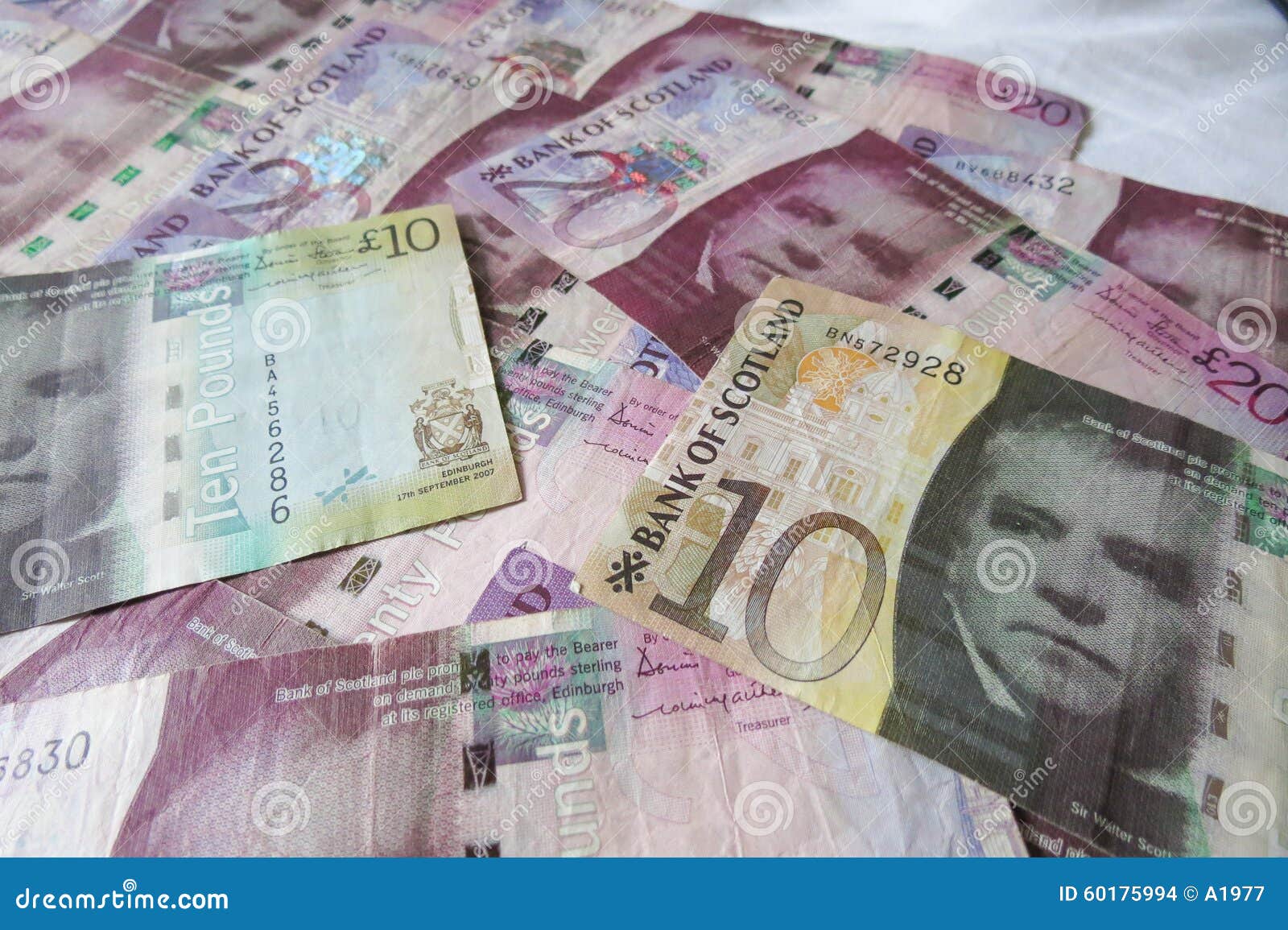 Notas Escocesas De La Libra Imagen de archivo editorial - Imagen de ...