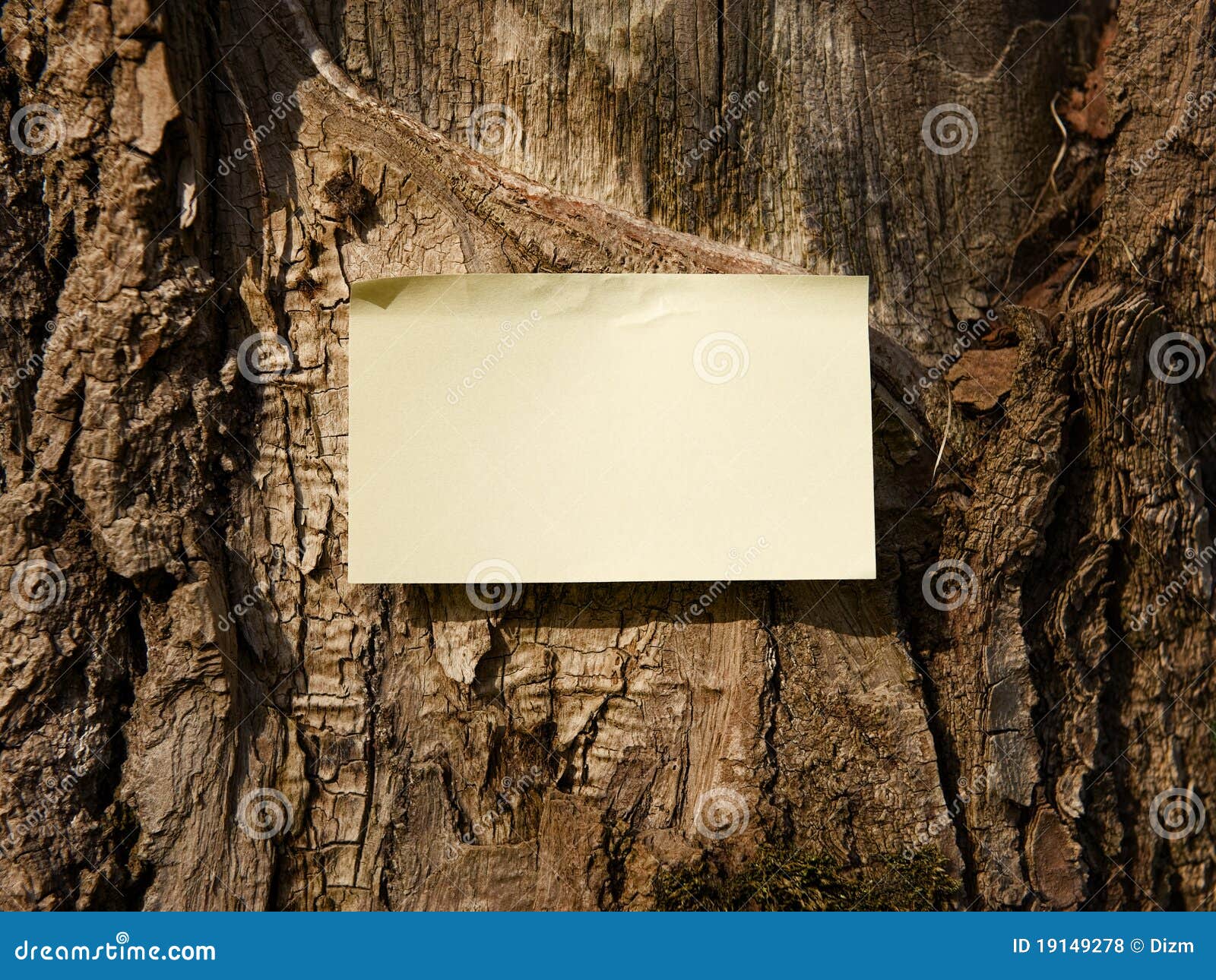 Note stock photo. Image of letter, outdoor, copy, bulletin - 19149278