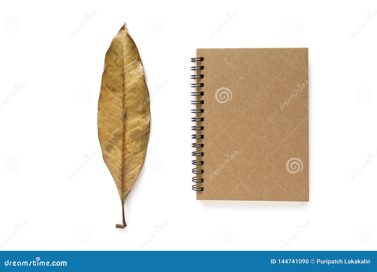 Note book and a dry leaf stock photo. Image of office - 144741090