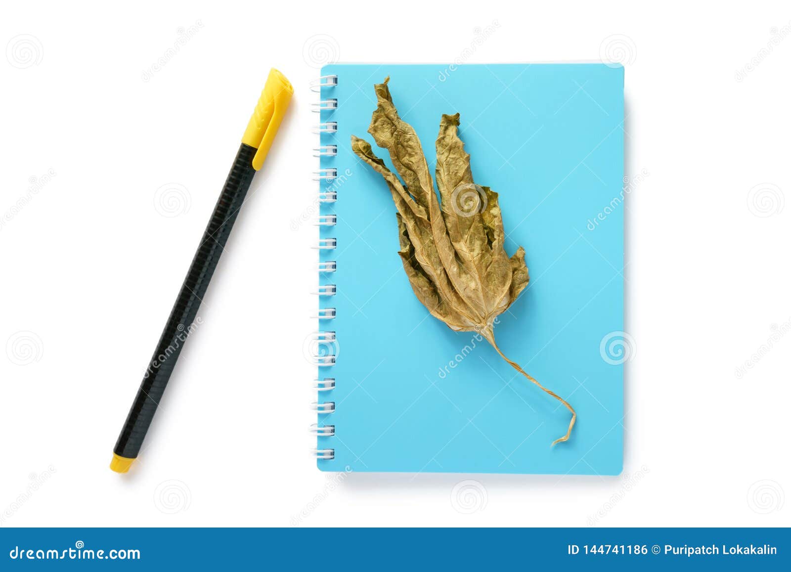 Note Book, Dry Leaf and a Pen Stock Photo - Image of close, office ...