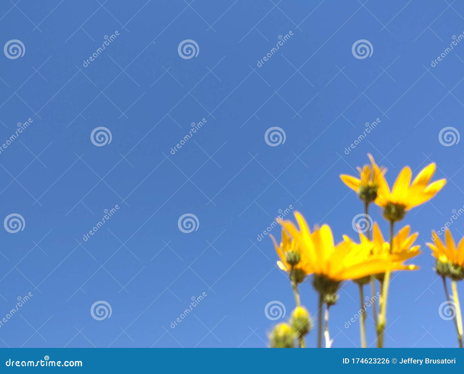 A note card worthy photo stock photo. Image of space - 174623226