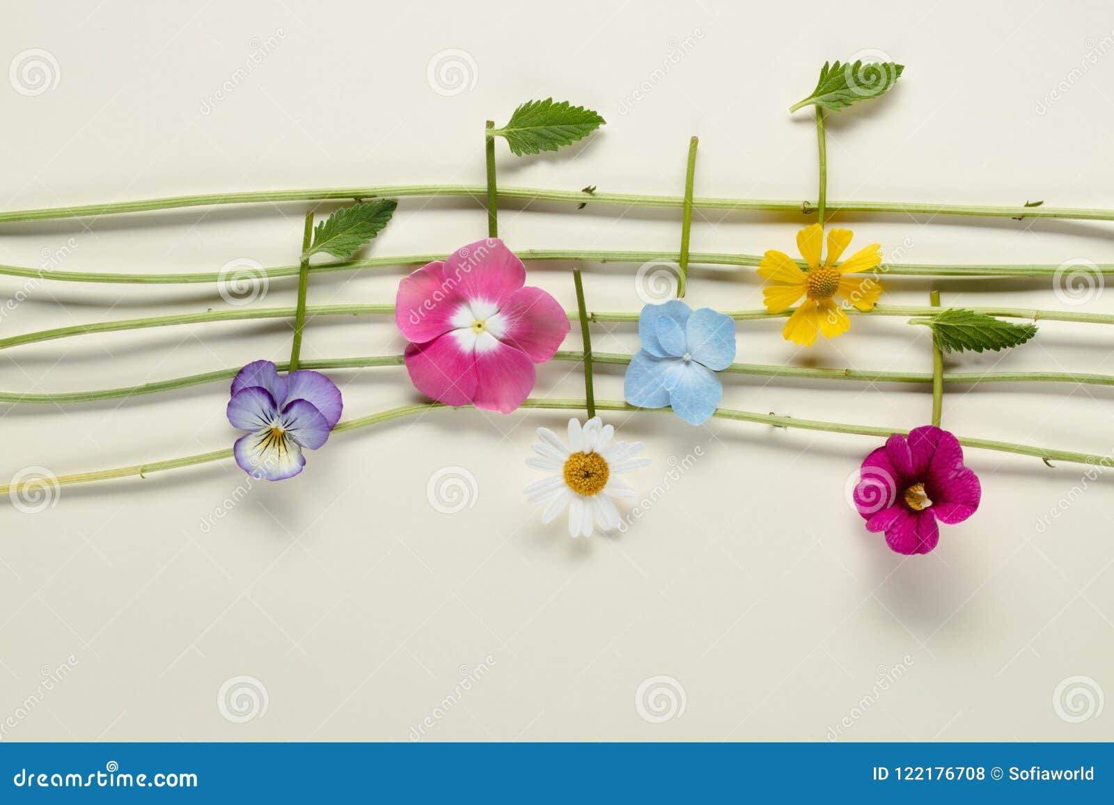 Note di musica dei fiori fotografia stock. Immagine di modo - 122176708