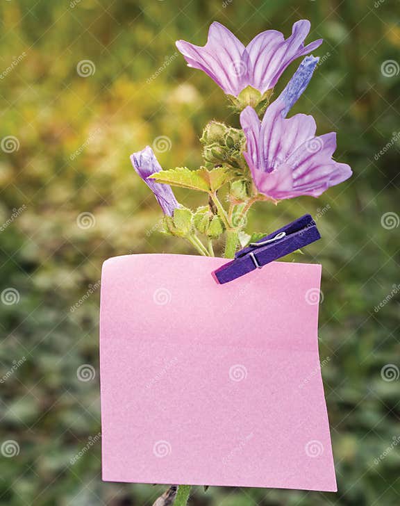 Note a flor foto de stock. Imagem de brilhante, texto - 58294908