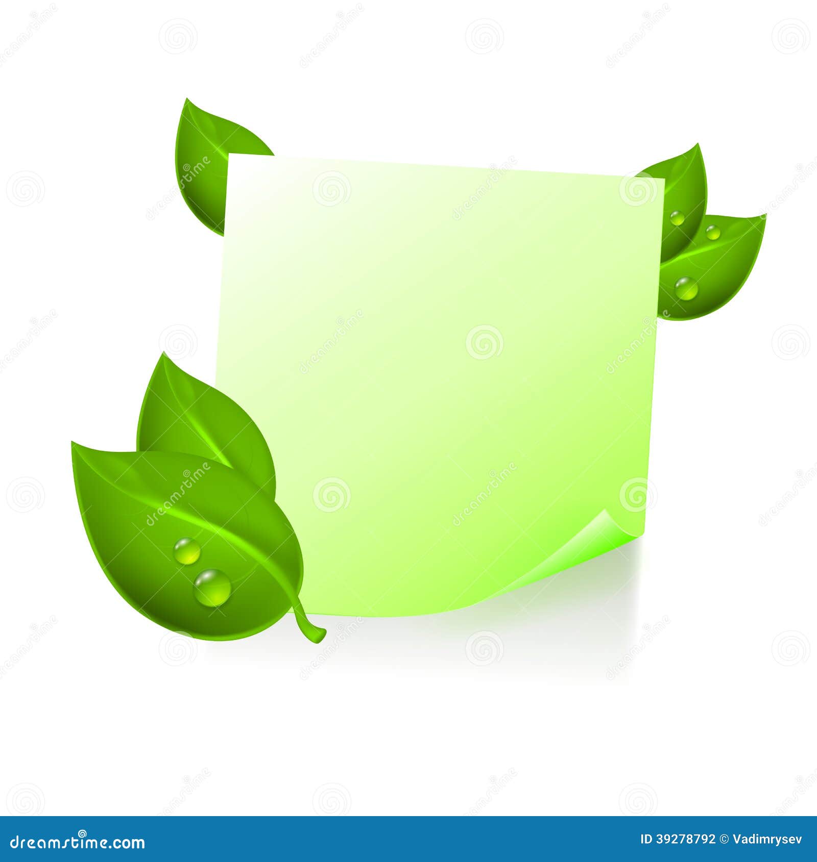 Note with Leaves and Drops of Dew. Label. Stock Vector - Illustration ...