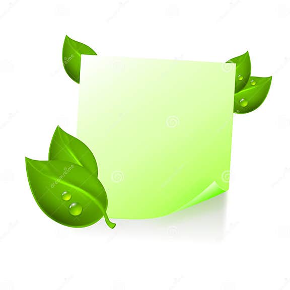 Note with Leaves and Drops of Dew. Label. Stock Vector - Illustration ...