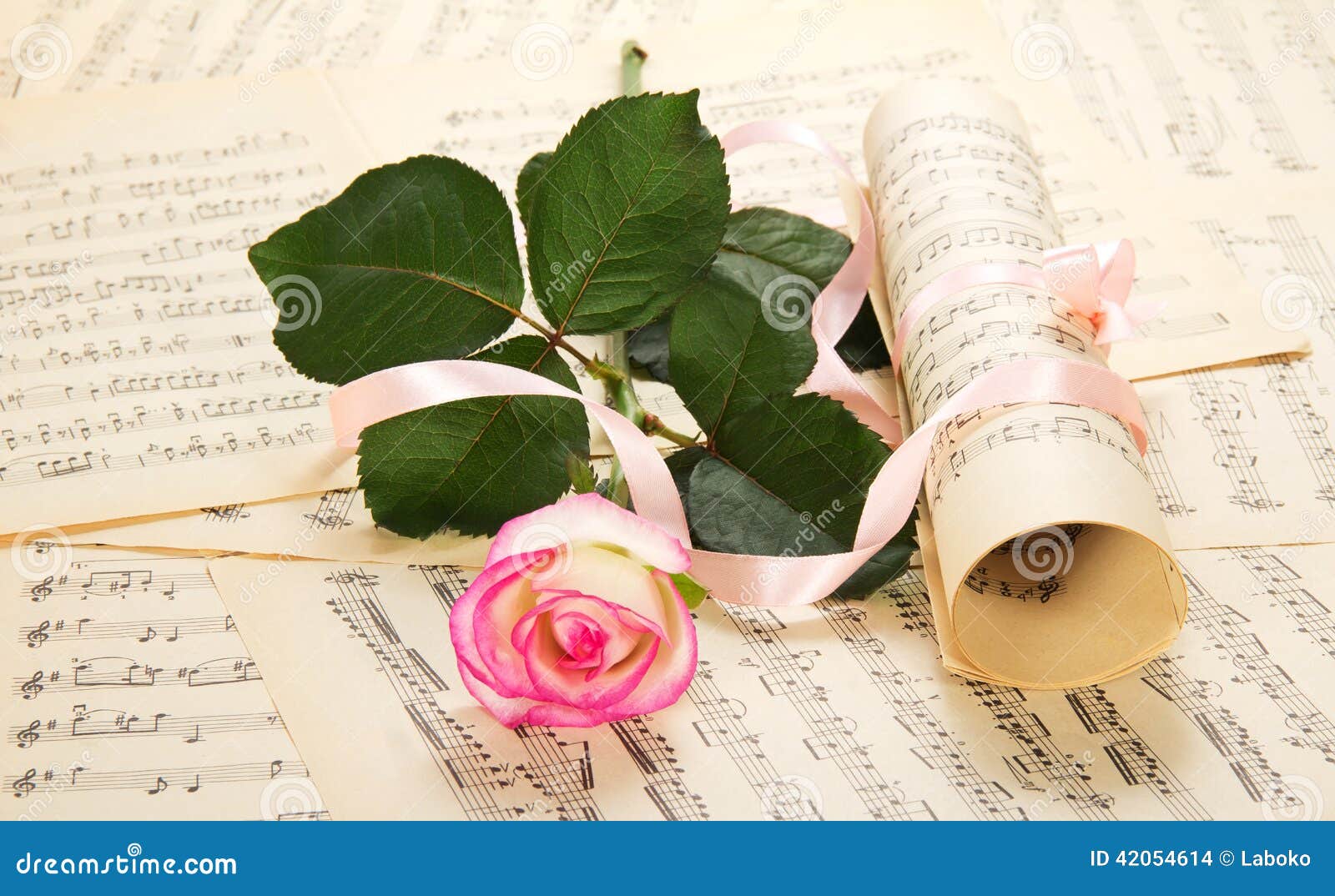 Note Musicali E Rosa Di Rosa Fotografia Stock - Immagine di melodia ...