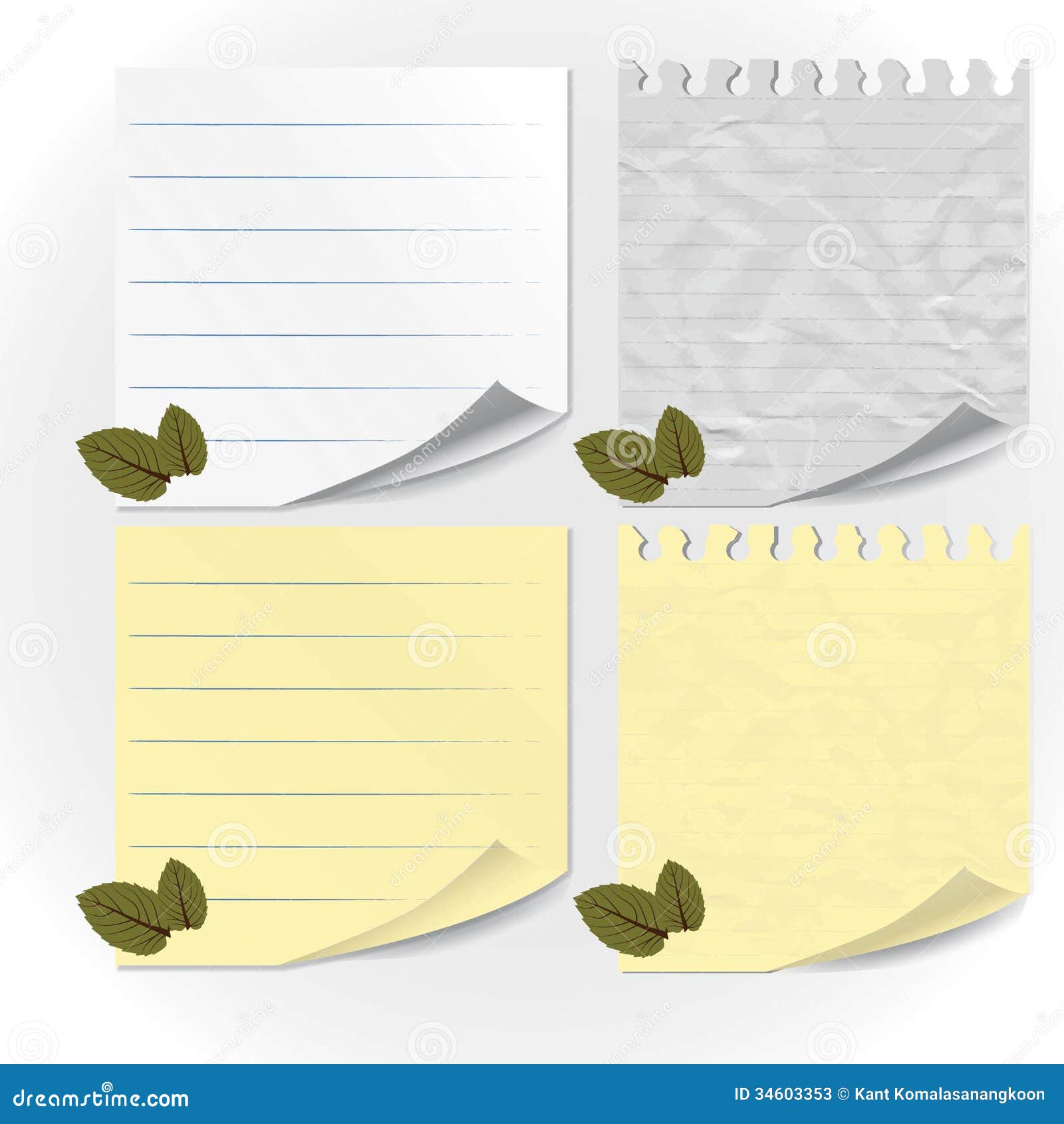 Notice Design Free Download