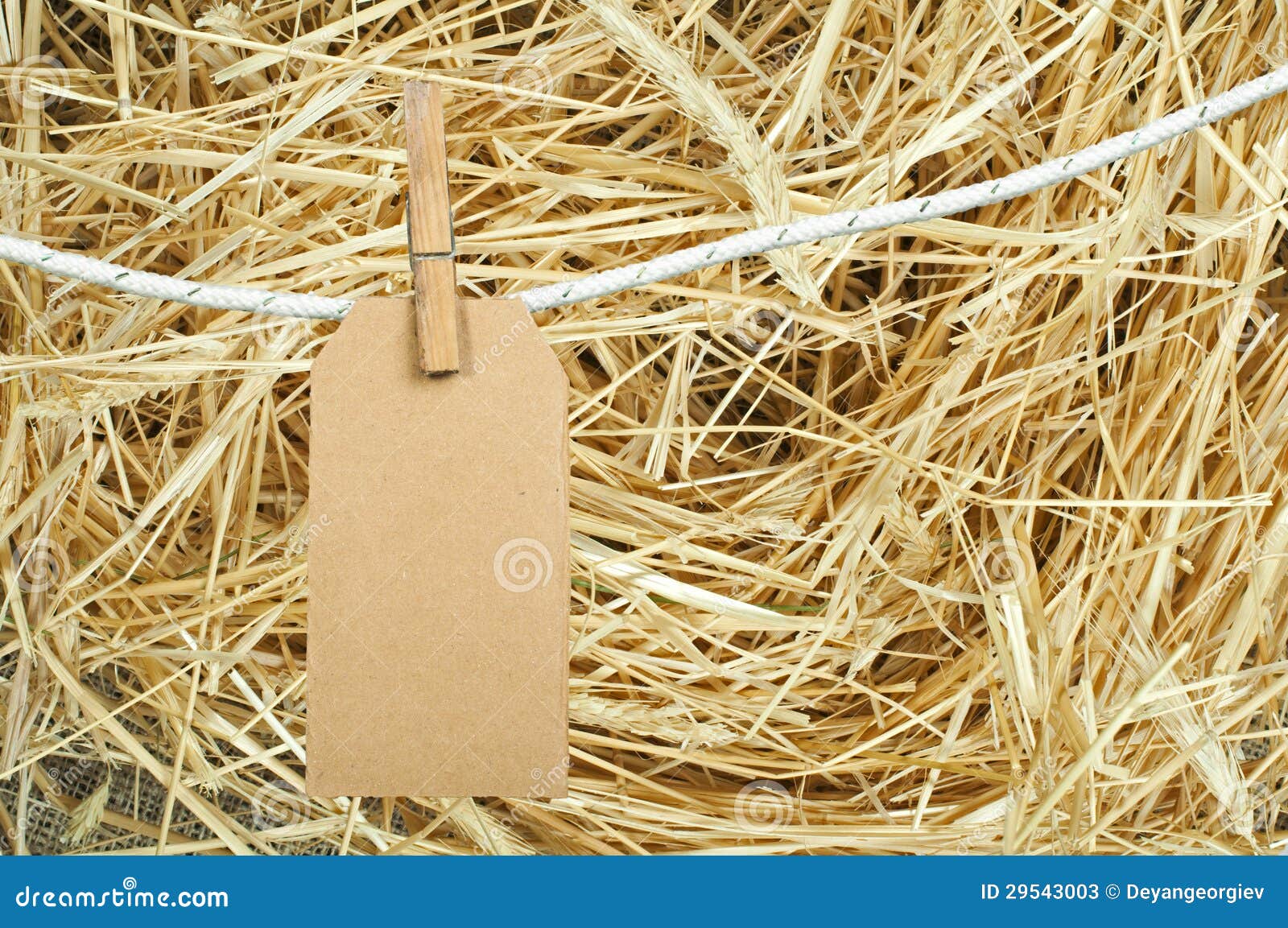 Note Papers Hooked on a Rope Stock Image - Image of border, frames ...