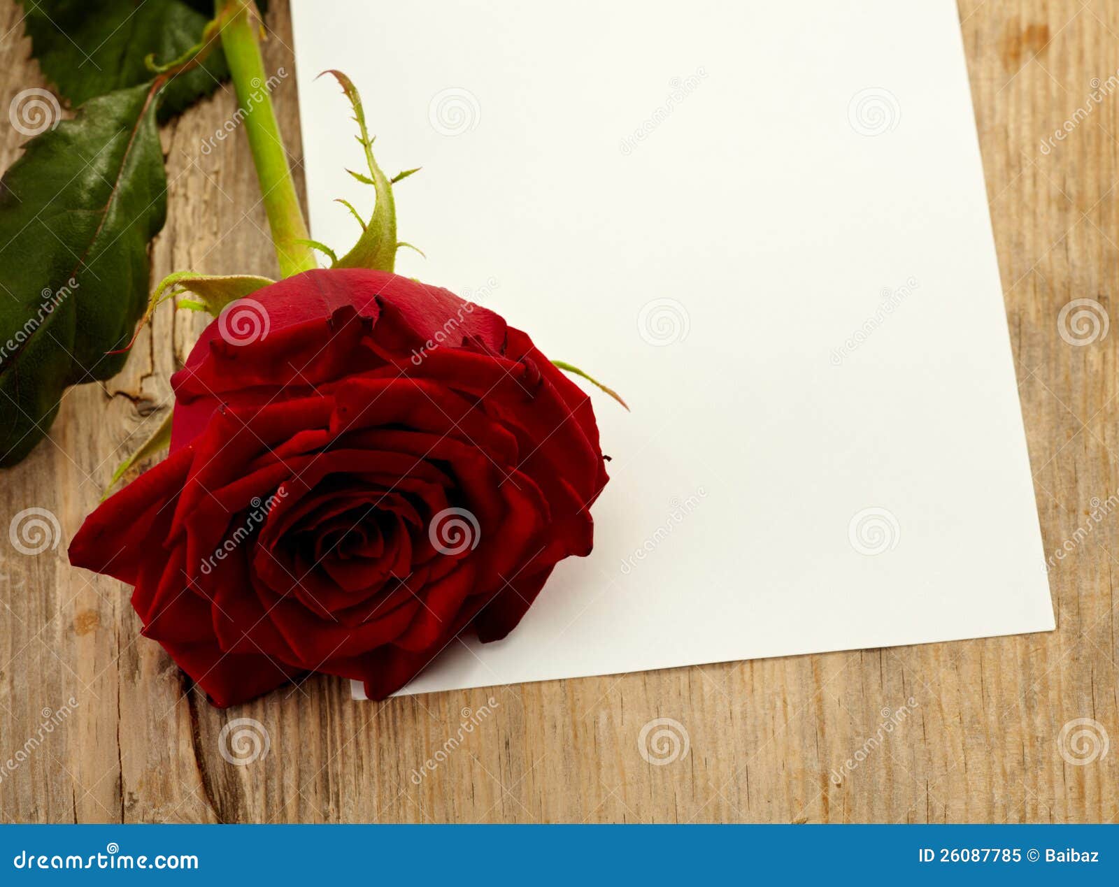 Note and rose stock image. Image of paper, vintage, note - 26087785