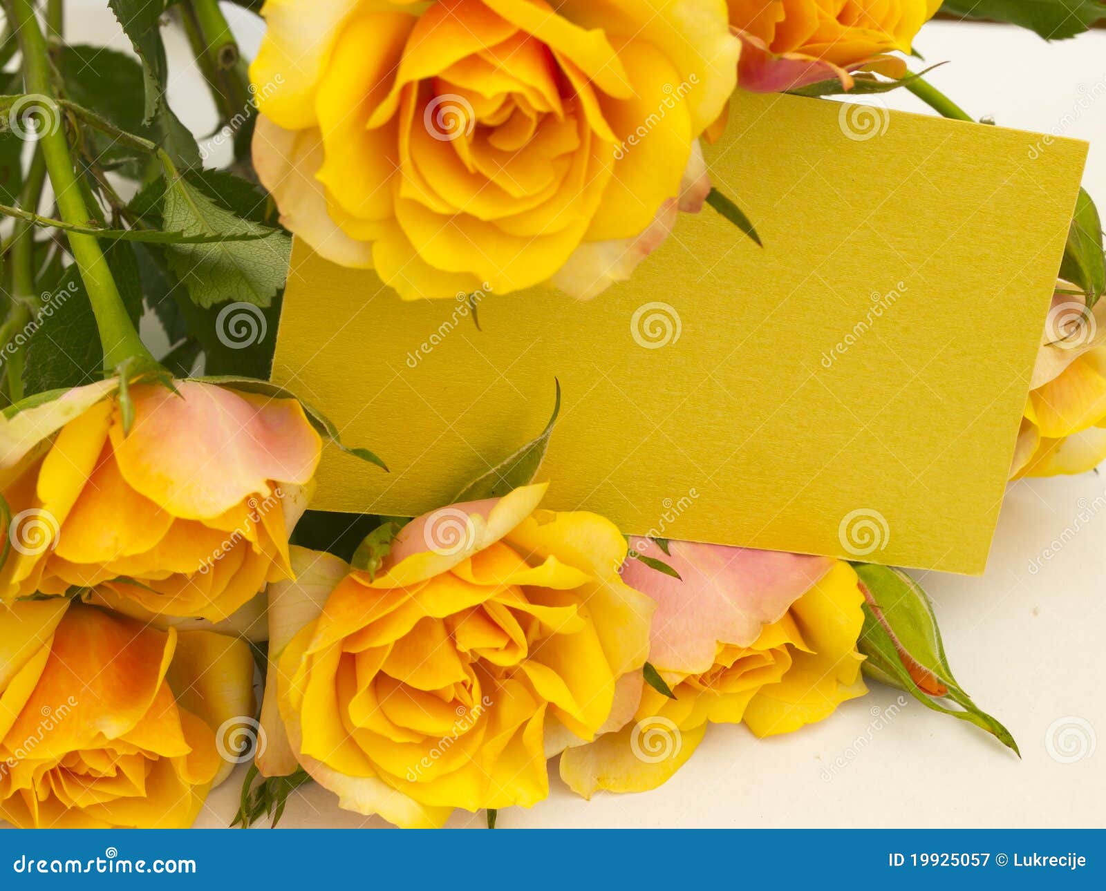 Note with roses stock image. Image of message, rose, natural - 19925057