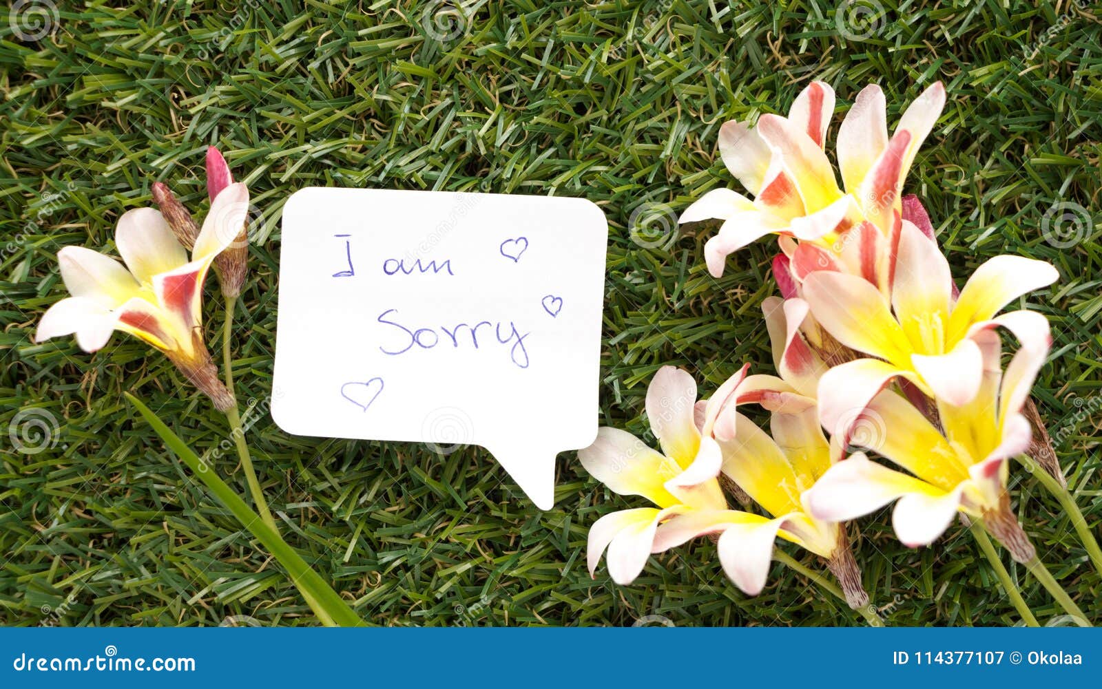 Note in Shape of a Chat Bubble, with Words I am Sorry! Stock Image ...