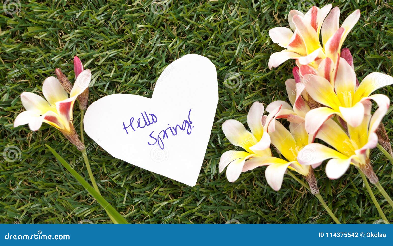 Note in Shape of Heart with Words Hello Spring!, with Flowers . Stock ...