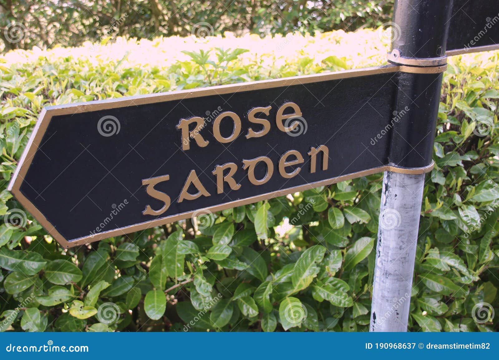 Note Sign To the Rose Garden Stock Image - Image of couple, banner ...