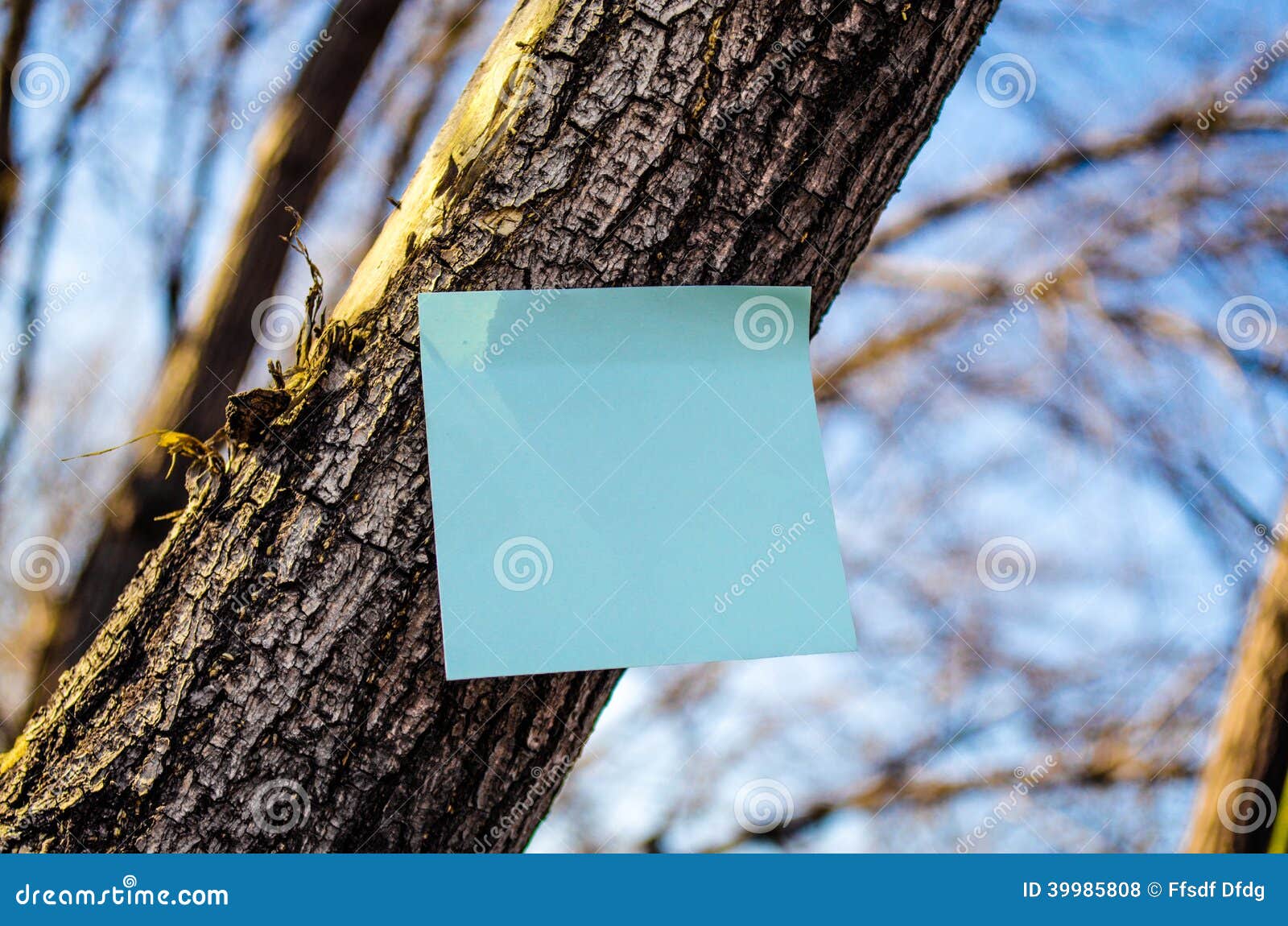 A note on the tree stock photo. Image of note, word, spring - 39985808
