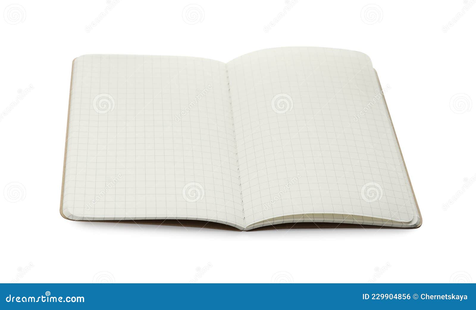 Notebook Aberto E Elegante Com Folhas Em Branco Foto de Stock - Imagem ...