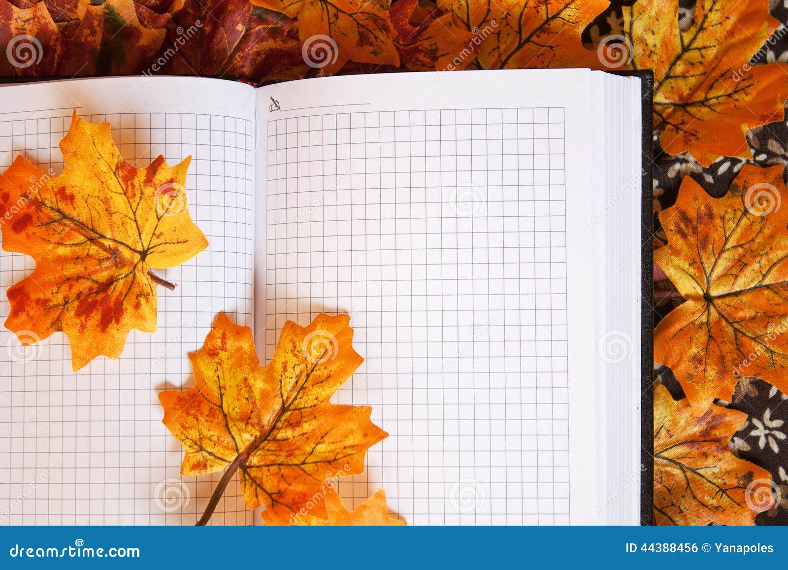 Notebook on autumn leafs stock photo. Image of business - 44388456