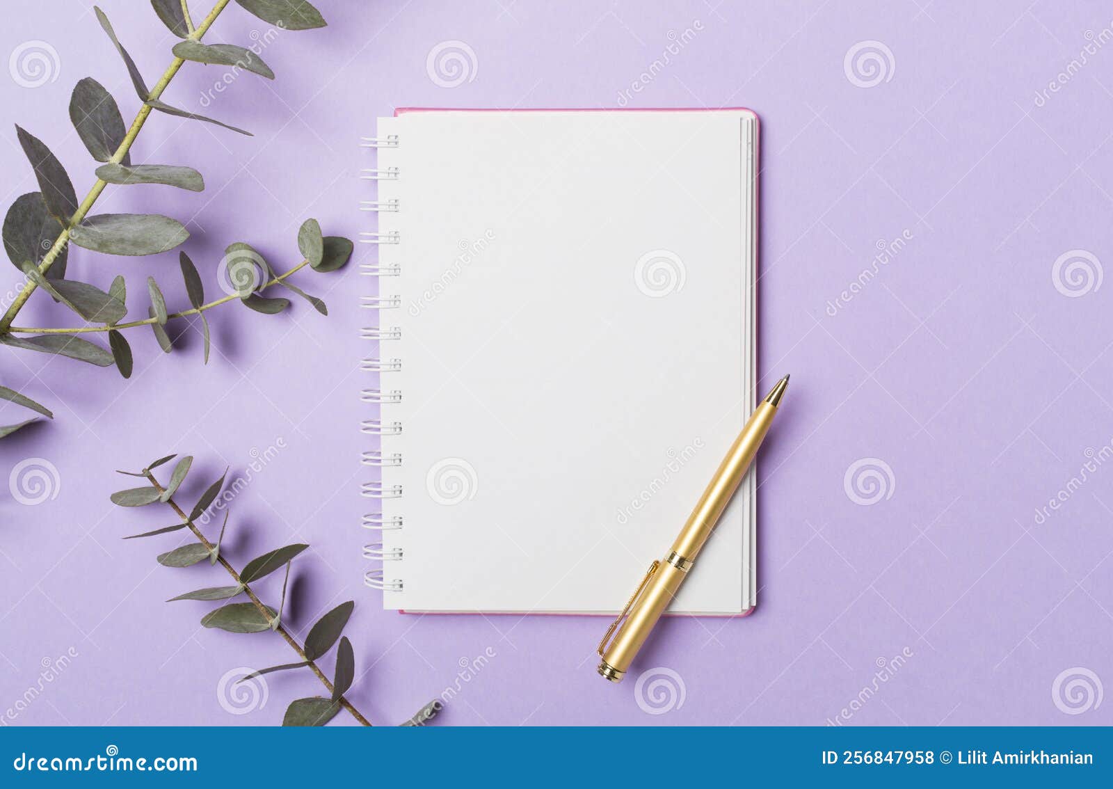 Notebook with Beautiful Eucalyptus Branch on Color Background, Top View ...