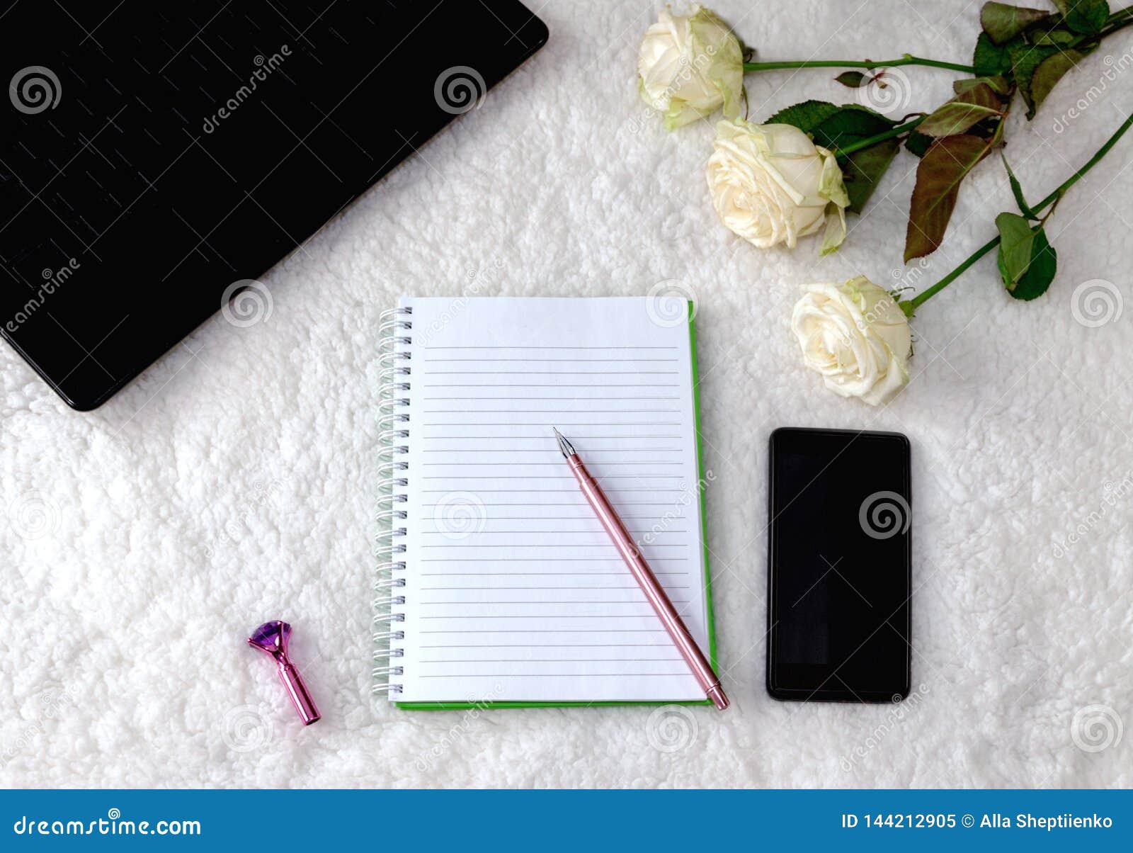 Notebook and Beautiful Pen on a Light Background Stock Image - Image of ...