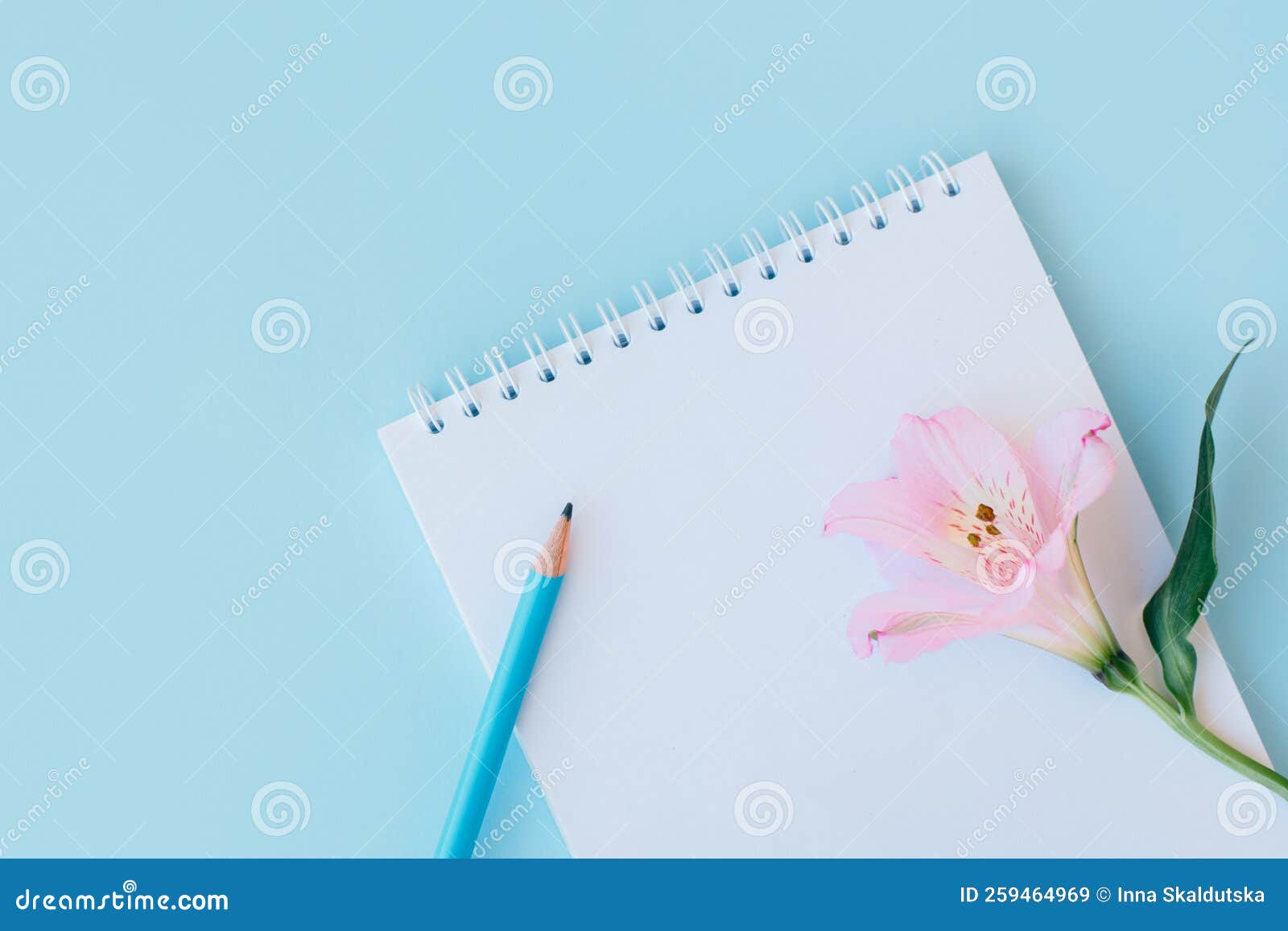 Notebook with Blank Page, Pink Flower and Pencil on Light Blue ...