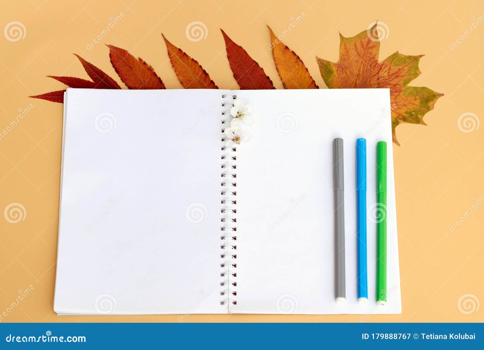 A Notebook with Blank White Sheets is Opened in the Middle of a Top ...