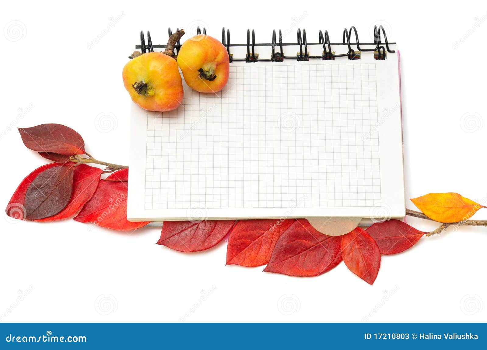 Notebook with Bookmark of Red Leafs Stock Image - Image of color, leave ...